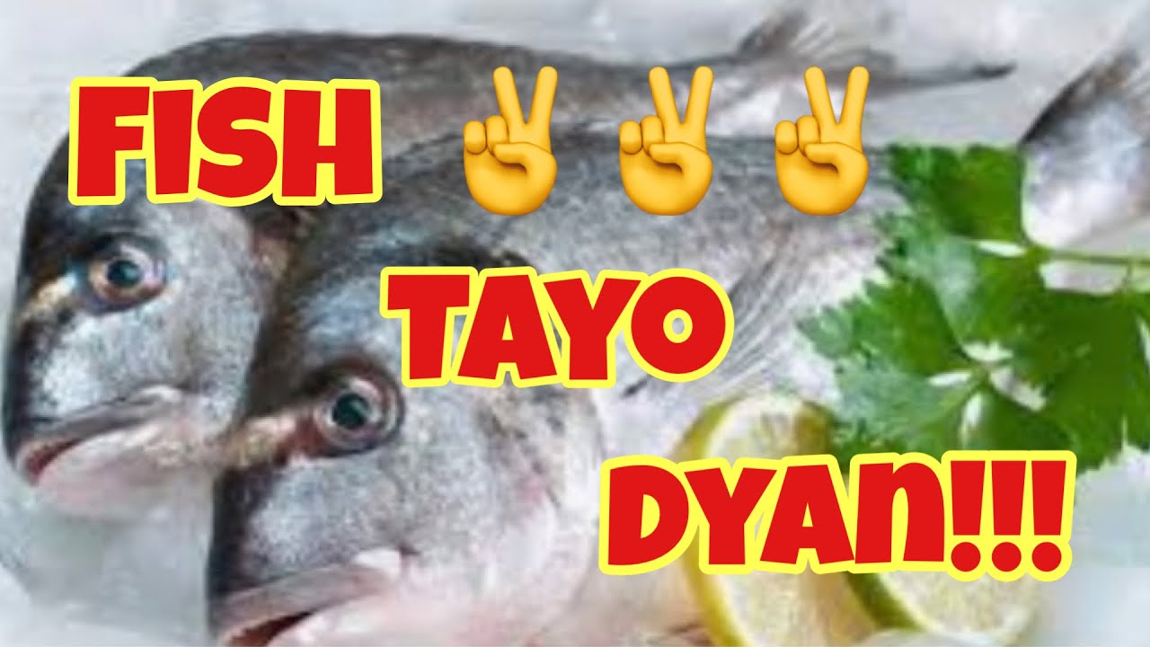YUMMY FISH | COOKING TIPS @MomonAdventures2020 - YouTube