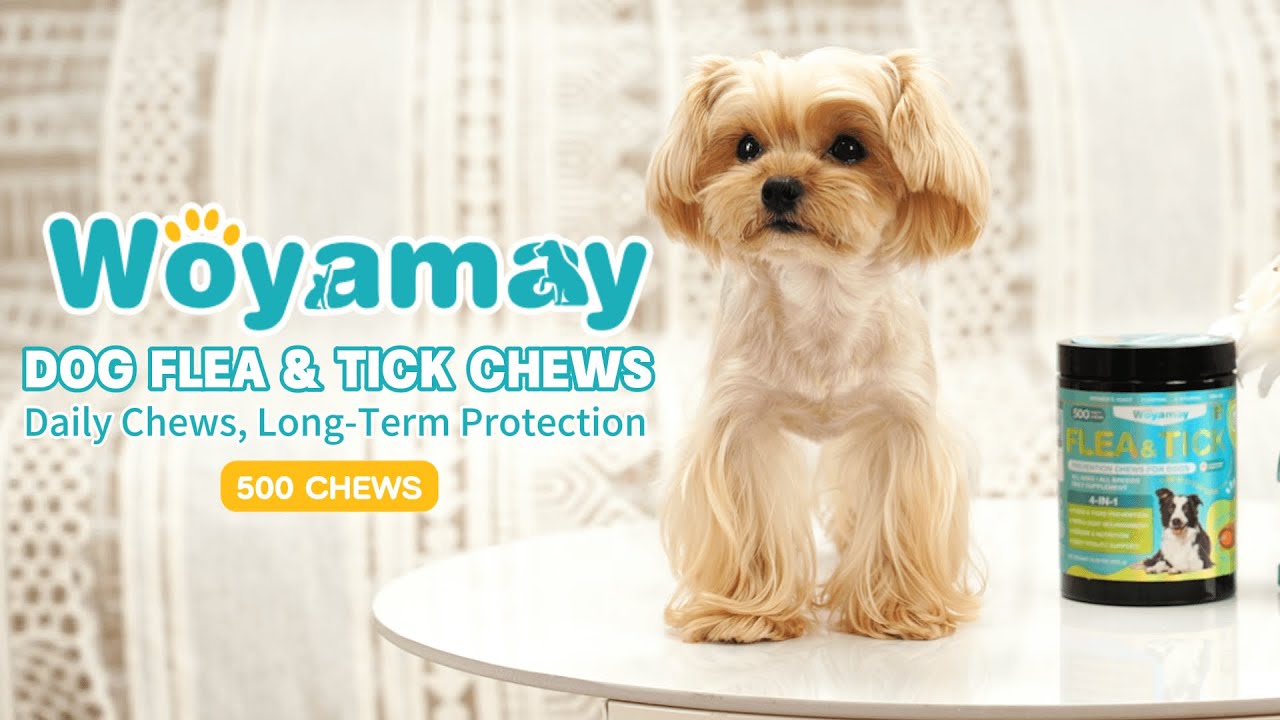 Woyamay: Your Dog's Flea Problem Solved in One Bite - YouTube