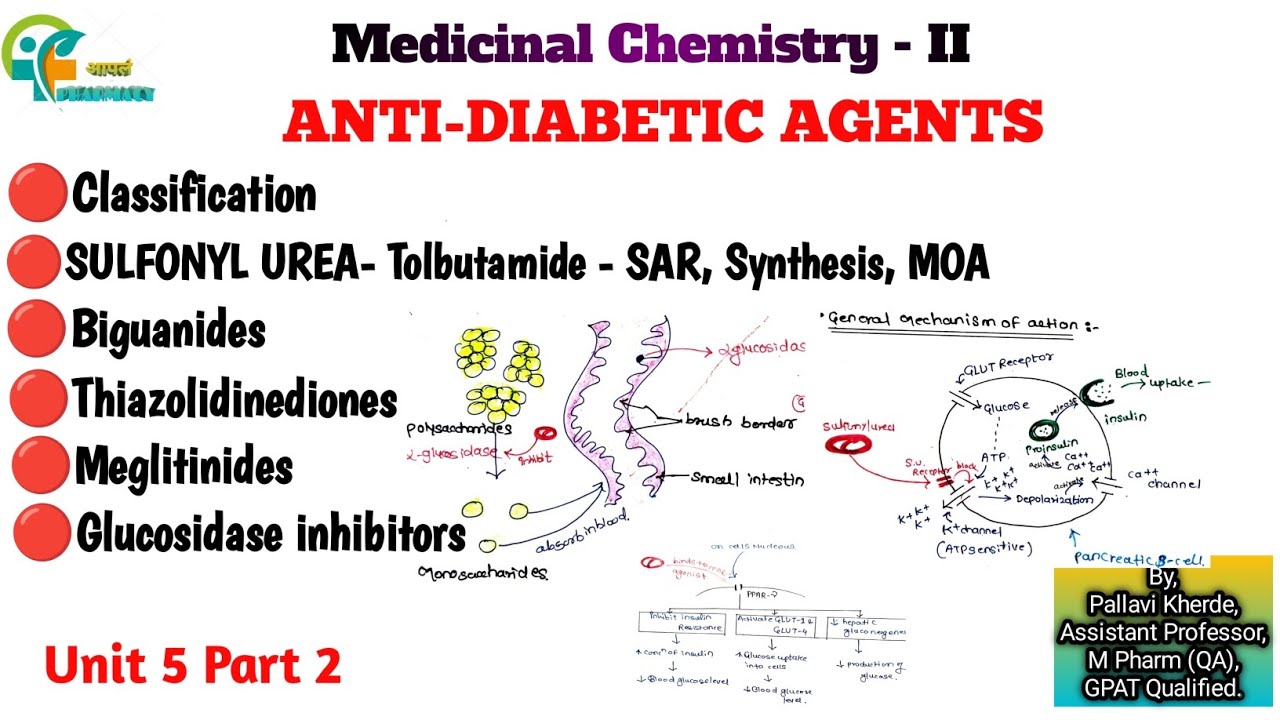 anti diabetic agents unit 5 medicinal chemistry 2 b pharm sulfonyl urea ...