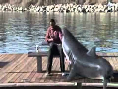 Hilarious Shark Commercial and Funny TV Advert Nicorette Mini Lozenges ...