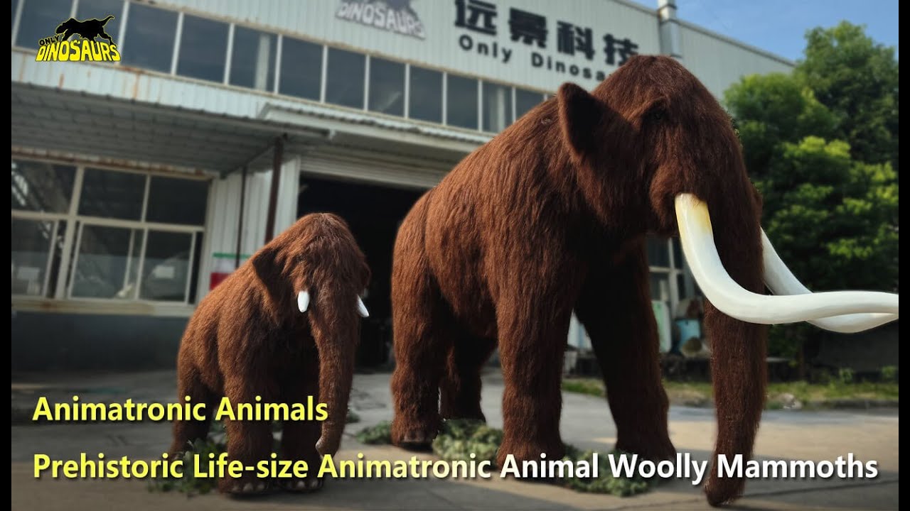 Prehistoric Life size Animatronic Animal Woolly Mammoths | Animatronic ...