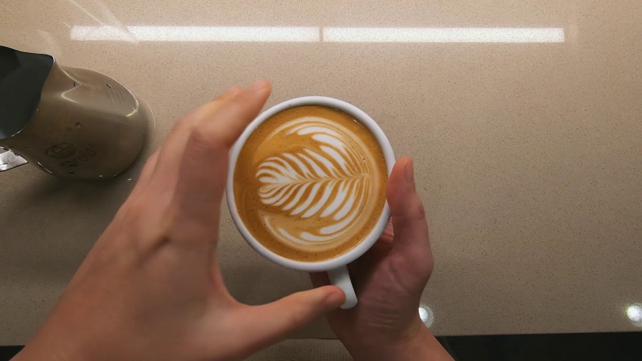 How To Pour A Rosetta Leaf Shaped Latte Art At Home YouTube how-to-pour-a-rosetta-leaf-shaped-latte-art-at-home-youtube