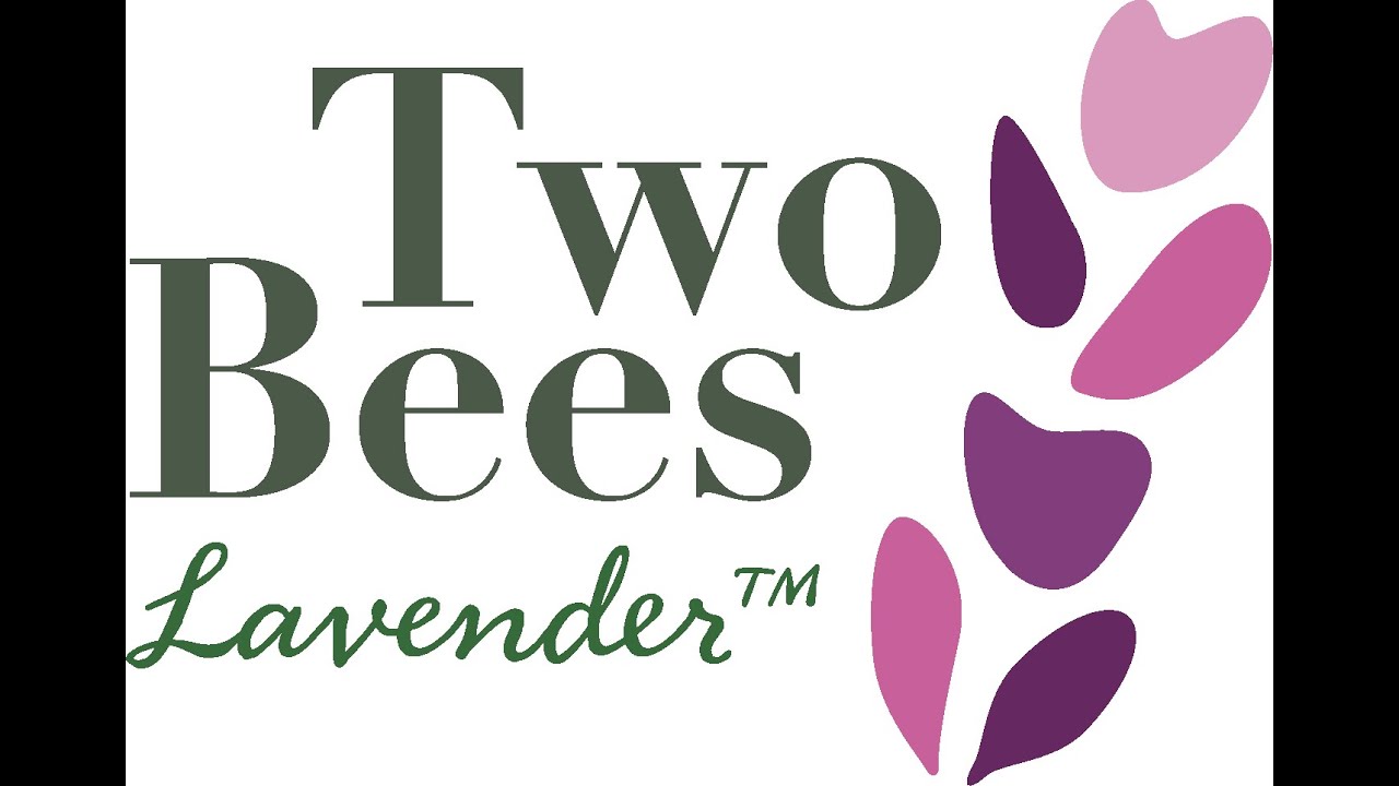 Two Bees Montage - YouTube