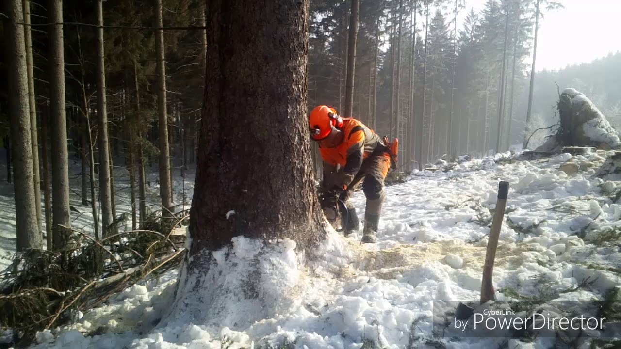 Working in forest, 24-2019, Im wald arbeiten, Práce v lese 🇨🇿 - YouTube
