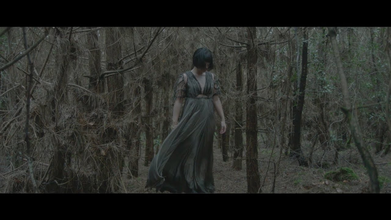 DeLooze - "Deathstar" Official Music Video (HD) - YouTube