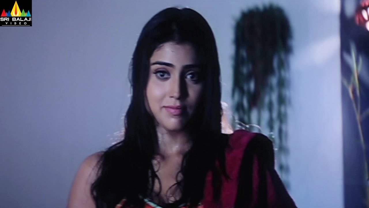 Bhageeratha Movie Shriya Saran Intro Scene | Telugu Movie Scenes | Ravi ...