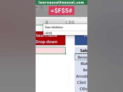 Searchable Drop Down List in Excel: Dynamic Search Data Validation List using Excel FILTER ...