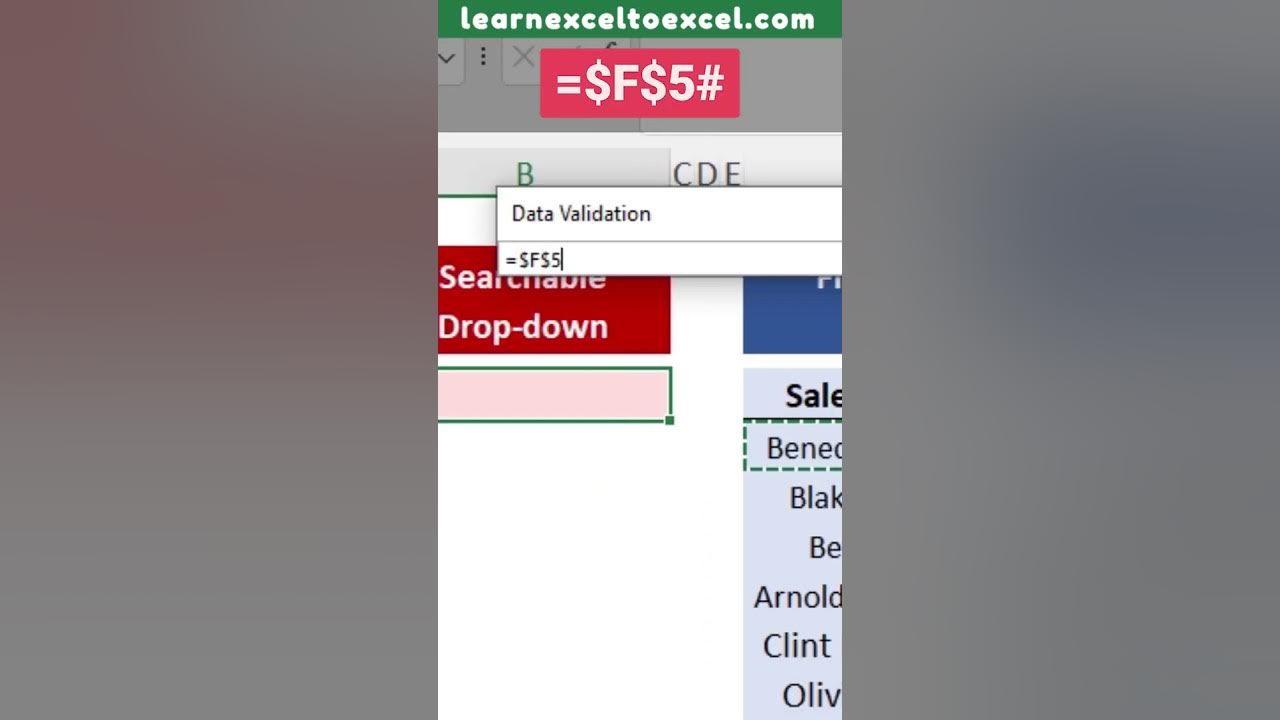 Searchable Drop Down List in Excel: Dynamic Search Data Validation List using Excel FILTER ...