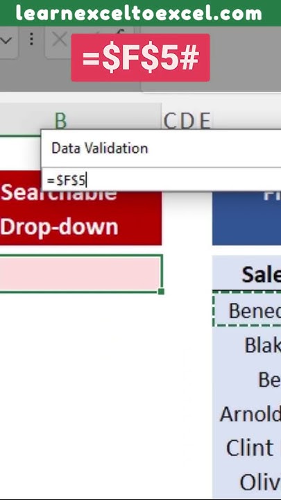 Searchable Drop Down List in Excel: Dynamic Search Data Validation List using Excel FILTER ...