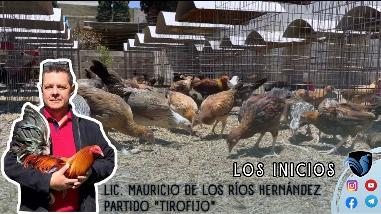 Don Mauricio de los Ríos | Representante del Partido "Tirofijo" - YouTube