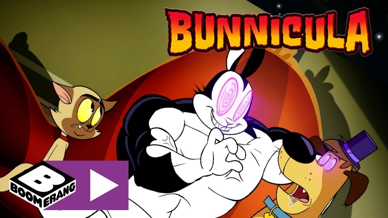 Bunnicula | Getting Crushed! | Boomerang UK 🇬🇧 - YouTube