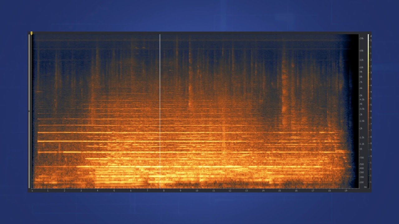 Overtones Timbre and the Harmonic Series Full - YouTube