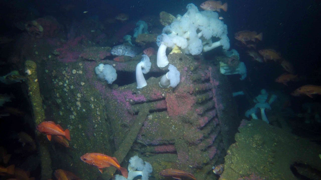 USCGC "McCulloch" shipwreck - Found stacks of 6-Pounder (57mm) shells ...