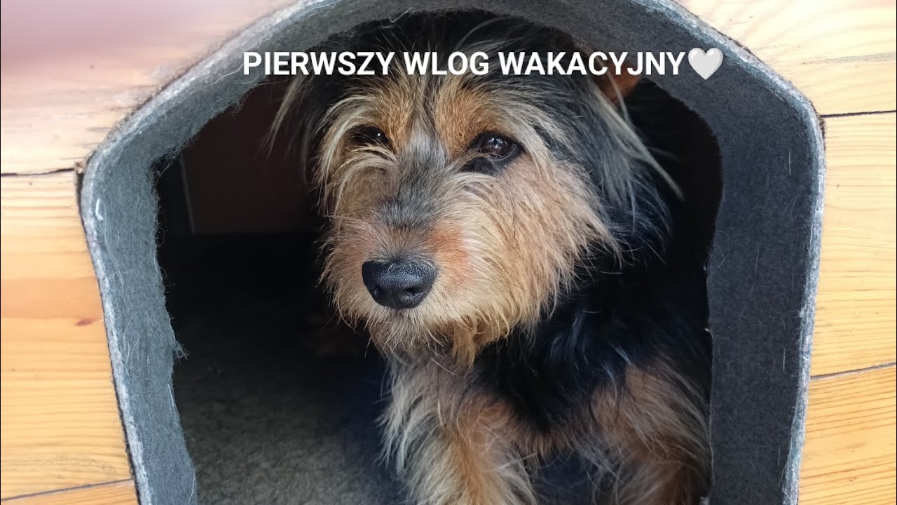 PIERWSZY VLOG WAKACYJNY🤭🙈*Z LUSI I LILKĄ*💋 - YouTube