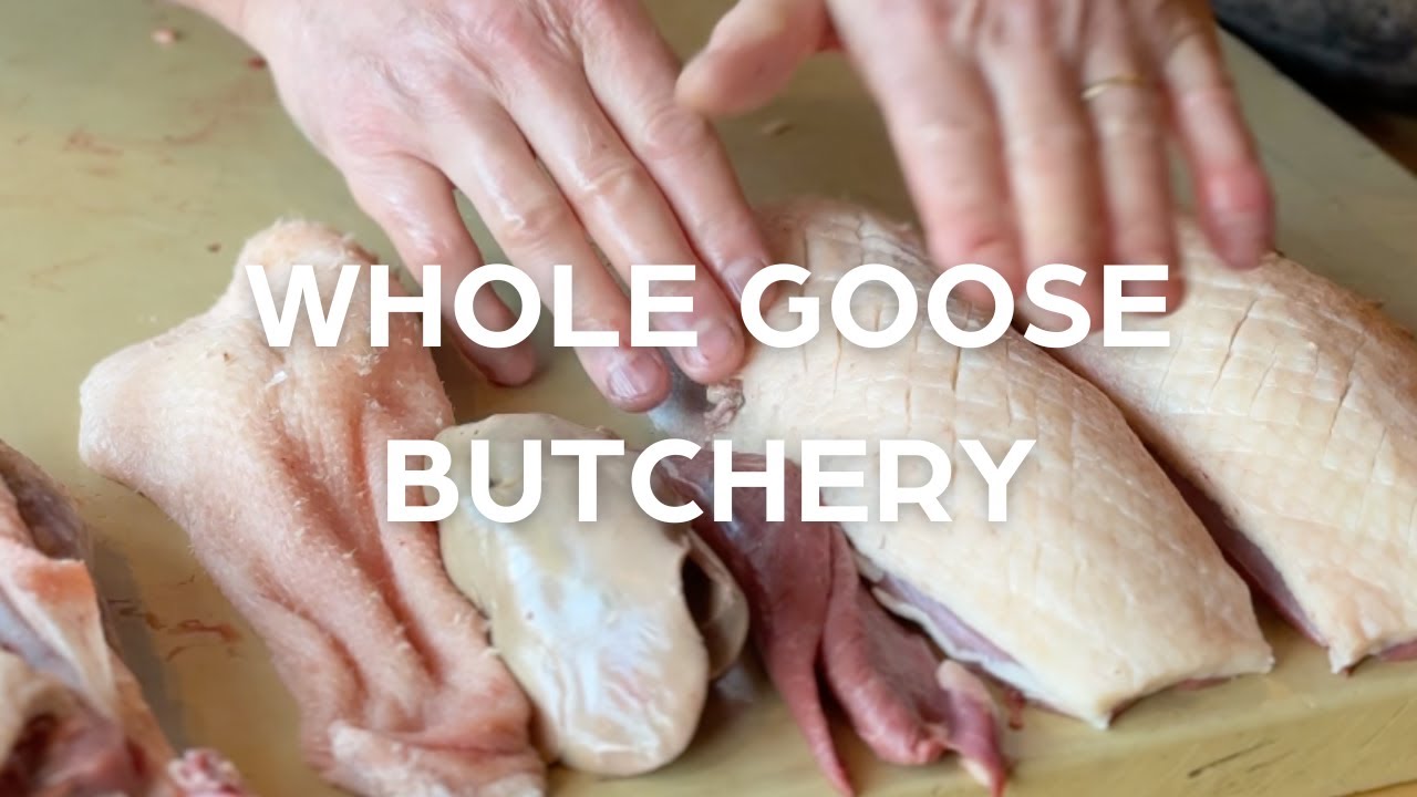 How I cook my Christmas Goose - Whole Goose Butchery - YouTube