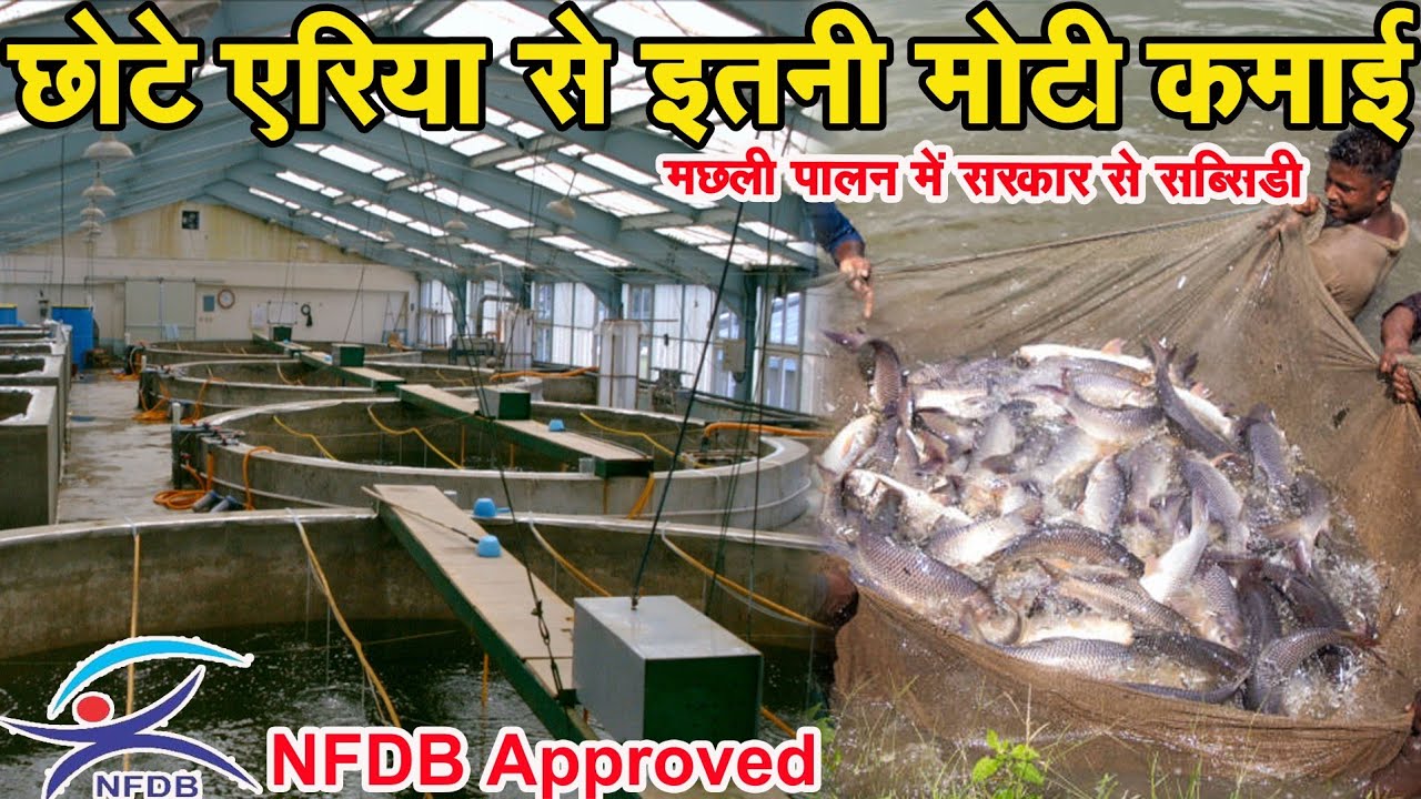 10 वर्षो से Fish farming || मछली पालन के साथ NFDB Approved Fish ...