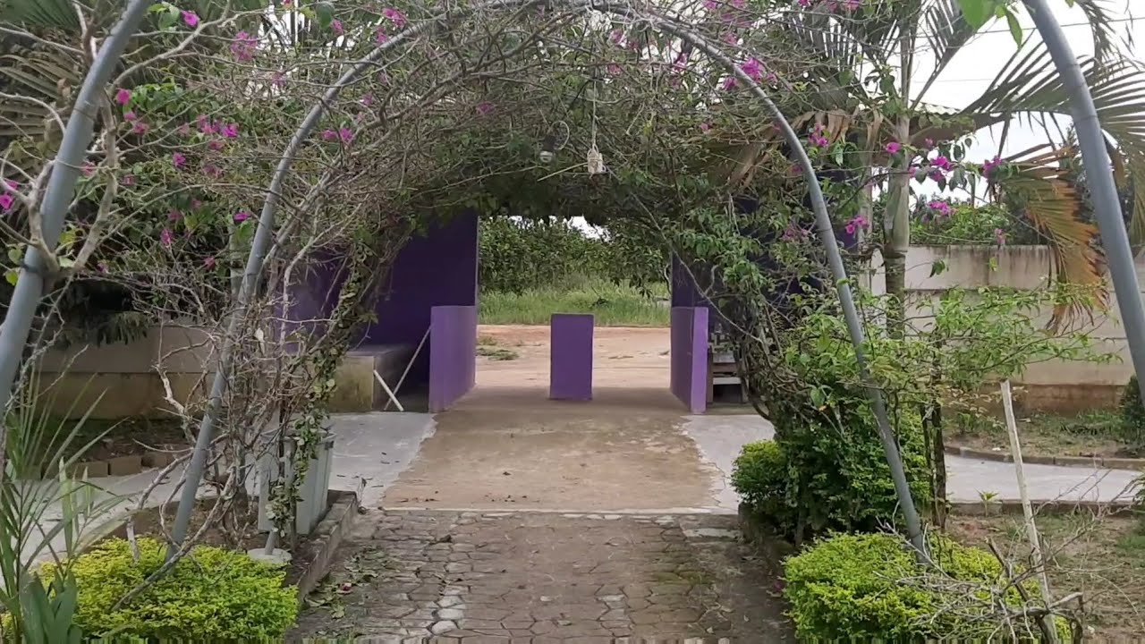 Celosia Garden in Sungailiat || Nice place to relax || - YouTube