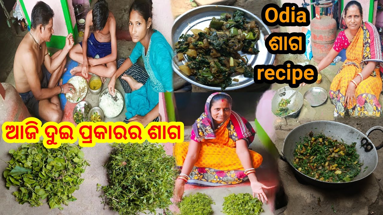 ଆଜି ଘରେ ଦୁଇ ପ୍ରକାରର ଶାଗ//saga recipe odia//village cooking//saga ...