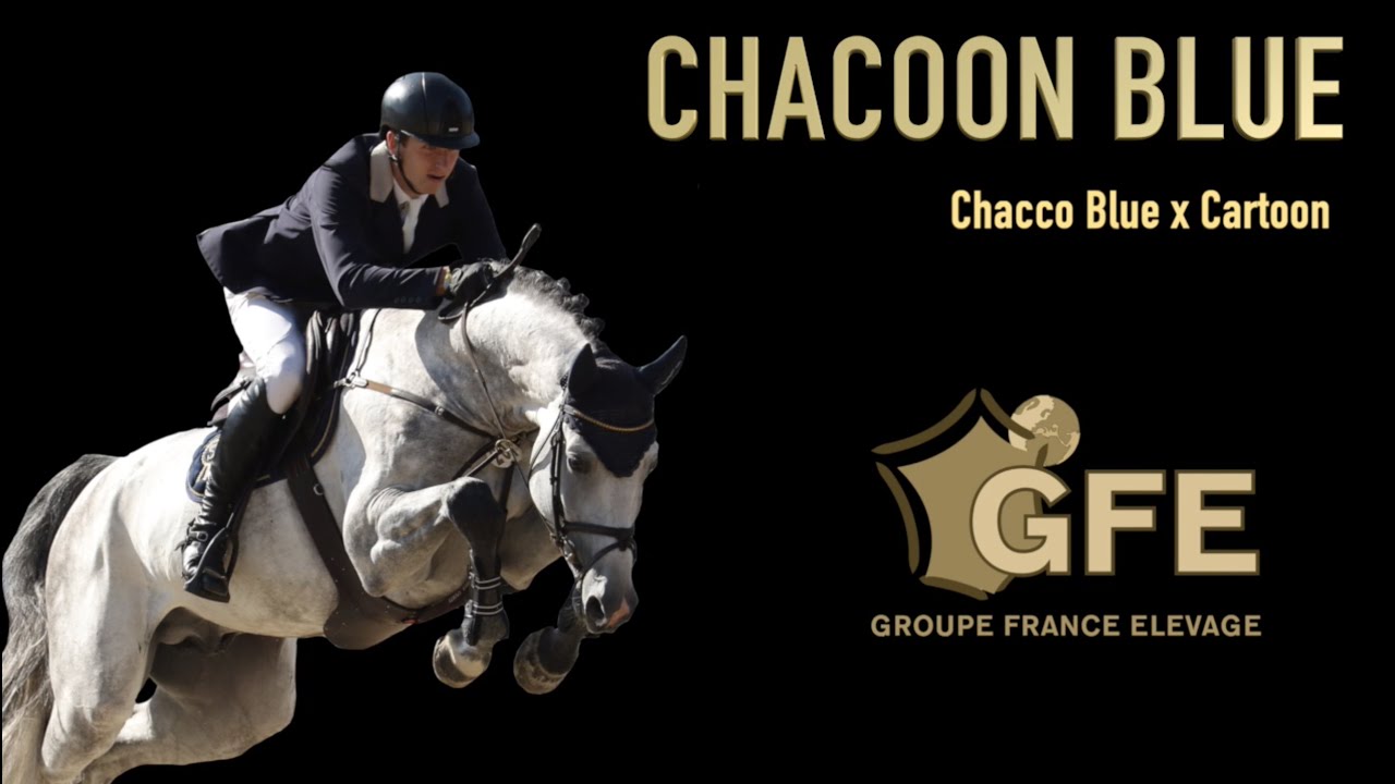 Chacoon Blue - 2020 - YouTube