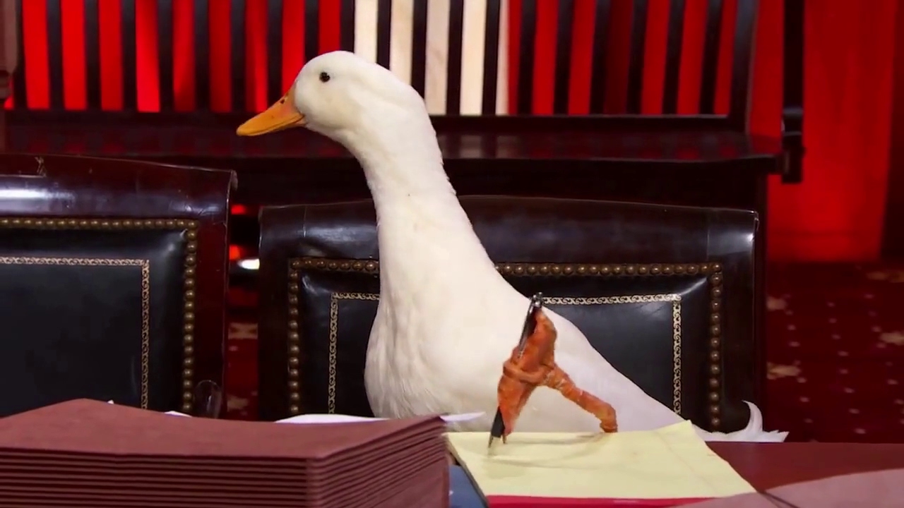 Packingham v. North Carolina: Oral Argument - February 27, 2017 - YouTube