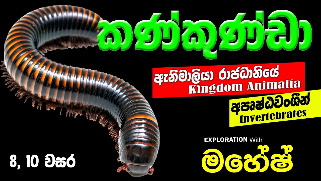කන්කුන්ඩා - Kankunda - YouTube