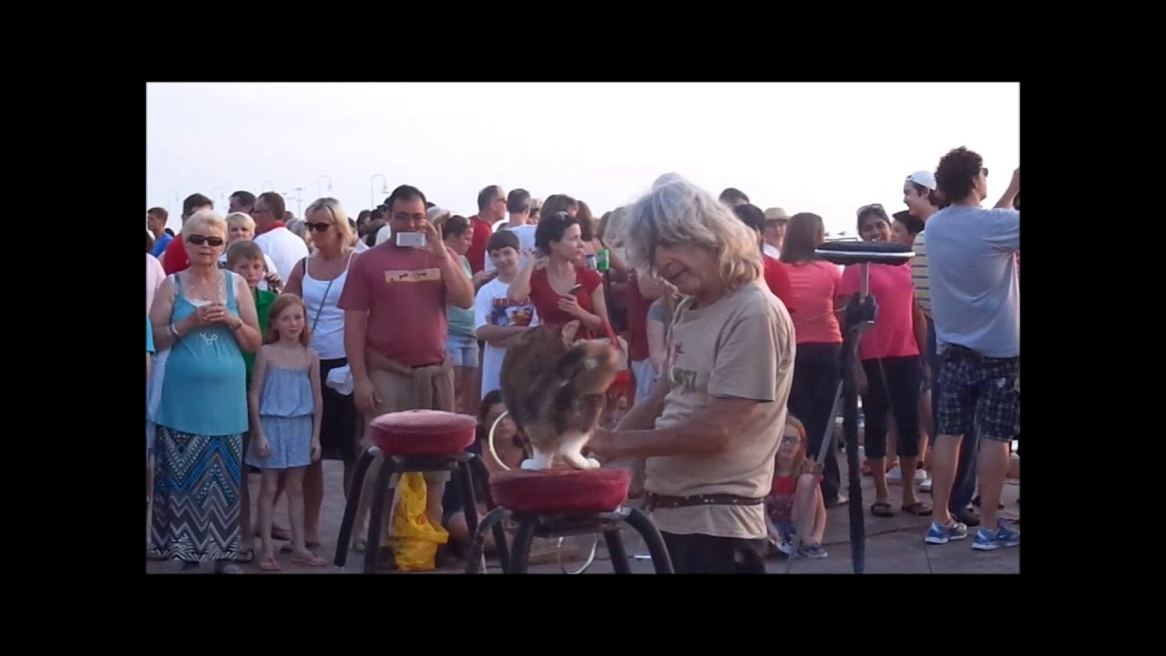 Crazy Cat Man of Key West Mallory Square Sunset Celebration 04-01-13 ...