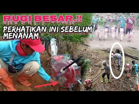 Review dan Testimoni Alat Tanam Jagung Modern