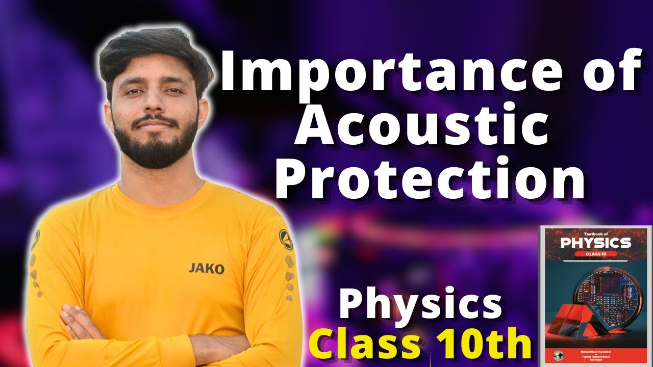 Acoustic | Importance of Acoustic Protection | Acoustic Protection ...