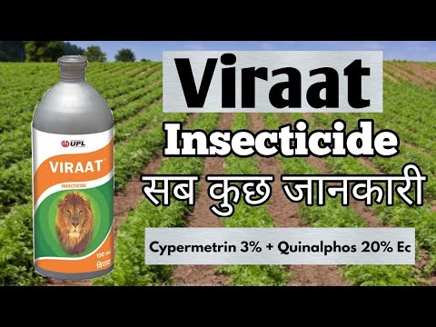 Viraat Insecticide || Cypermetrin 3% + Quinalphos 20%Ec || Upl - YouTube