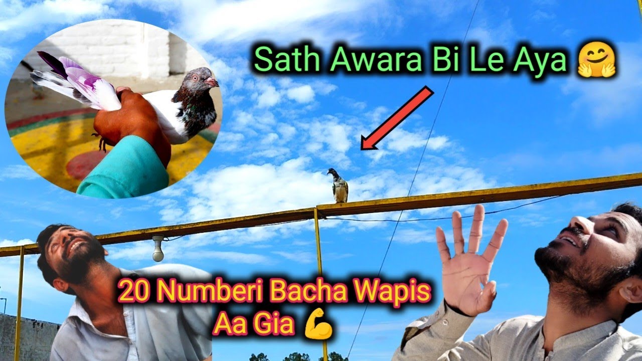 20 Numberi Bacha Wapis Aa Gai Or Sath 1 Awara Bi Le Aya😃 - YouTube