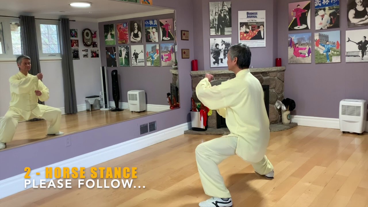 York University PKIN0406 Kung-Fu Course: 2 - Basic Kung-Fu Hand Forms ...