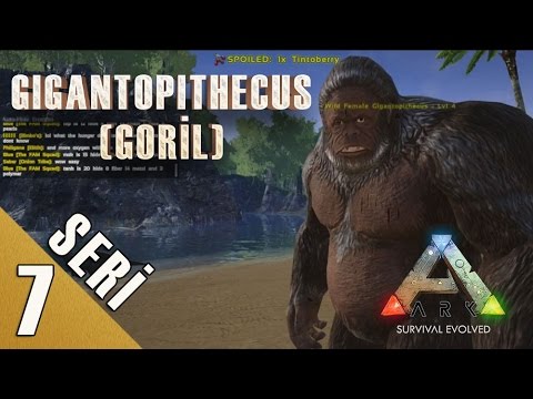 ARK SURVIVAL EVOLVED #7 GIGANTOPITHECUS (KOCA AYAK, YETI) - YouTube
