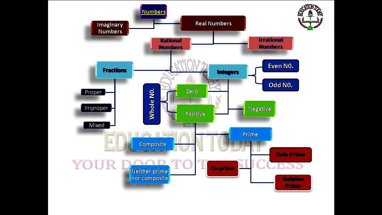 Number System (Classification of Numbers) in Hindi by SP Prajapati ...