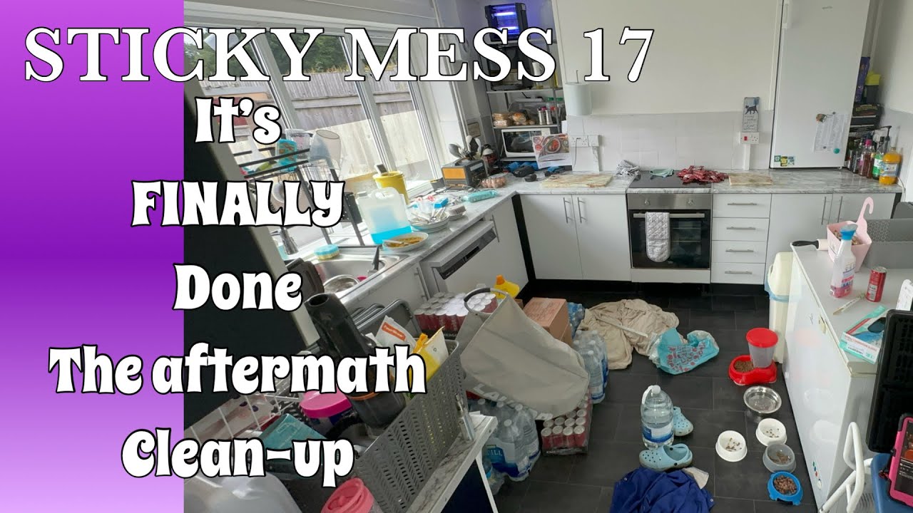 THE PAINTED AFTERMATH, SATISFYING CLEAN, AND PUT THINGS BACK ...