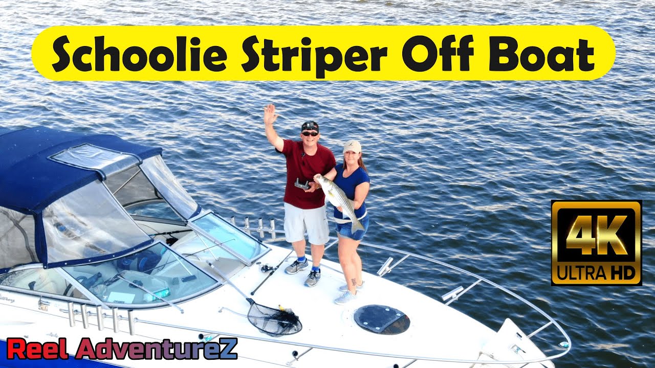 Striped Bass Casting Off Boat - YouTube