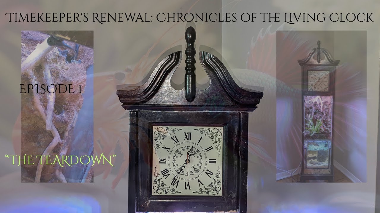 Timekeeper's Renewal Chronicles of the Living Clock Episode 01: The ...
