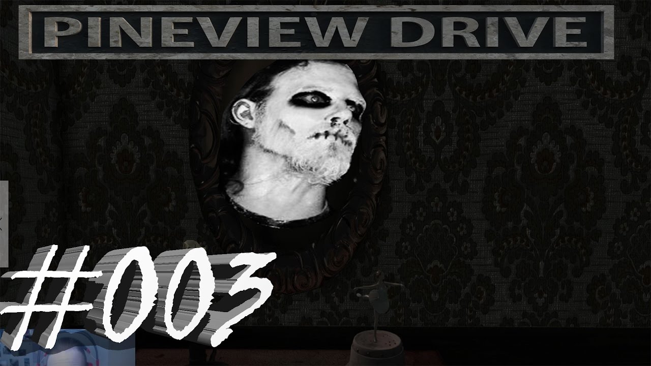 Ich seh gaaaar nix!!💀 Pineview Drive #3 - YouTube