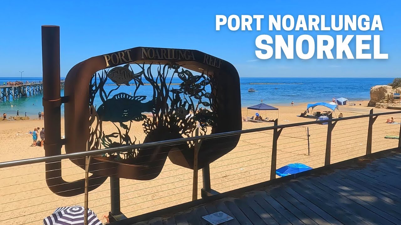 Exploring the stunning Port Noarlunga Reef - Snorkeling Adventure in ...
