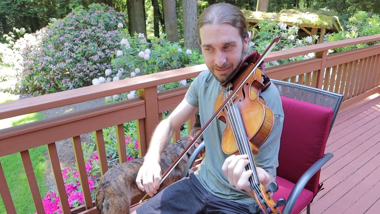 fiddle: sunset waltz - YouTube