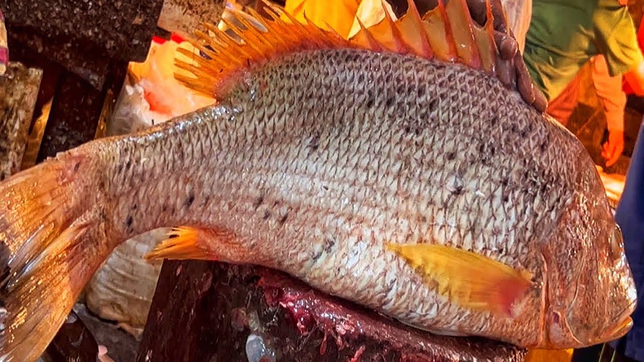 Amazing Giant Red Snapper Fish Cutting Skills Live In Fish Market ...
