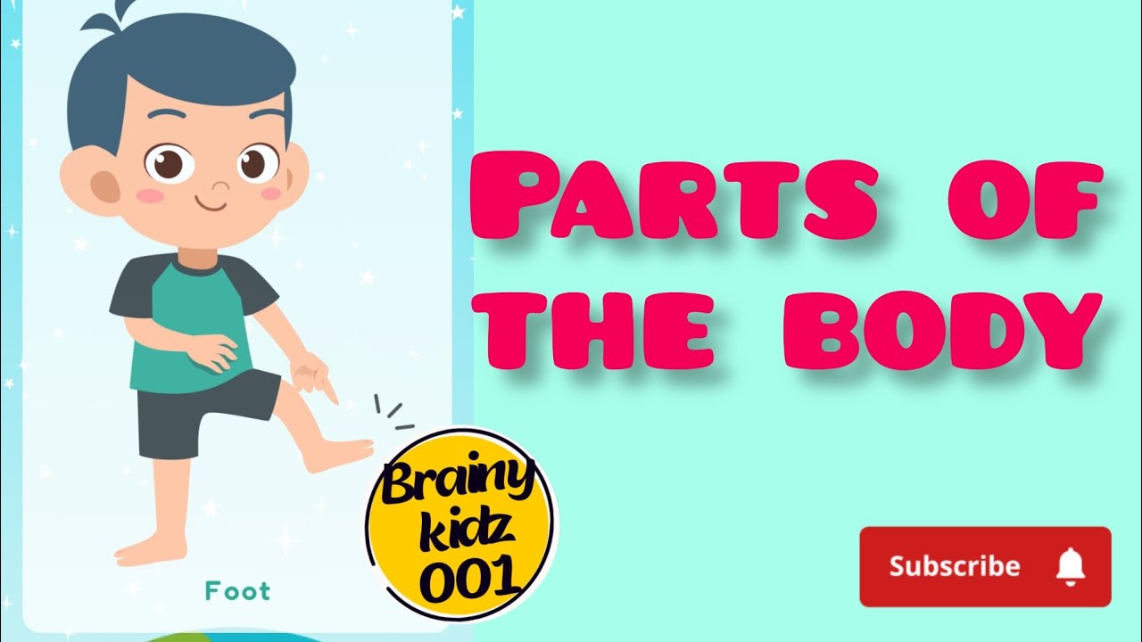 parts of the body| nursery learning| body parts in English with phonic ...