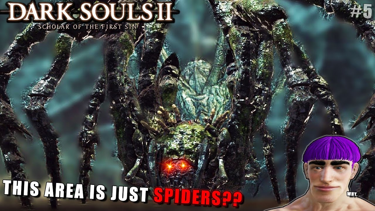 WHY IS THERE SO MANY SPIDERS??? - YouTube
