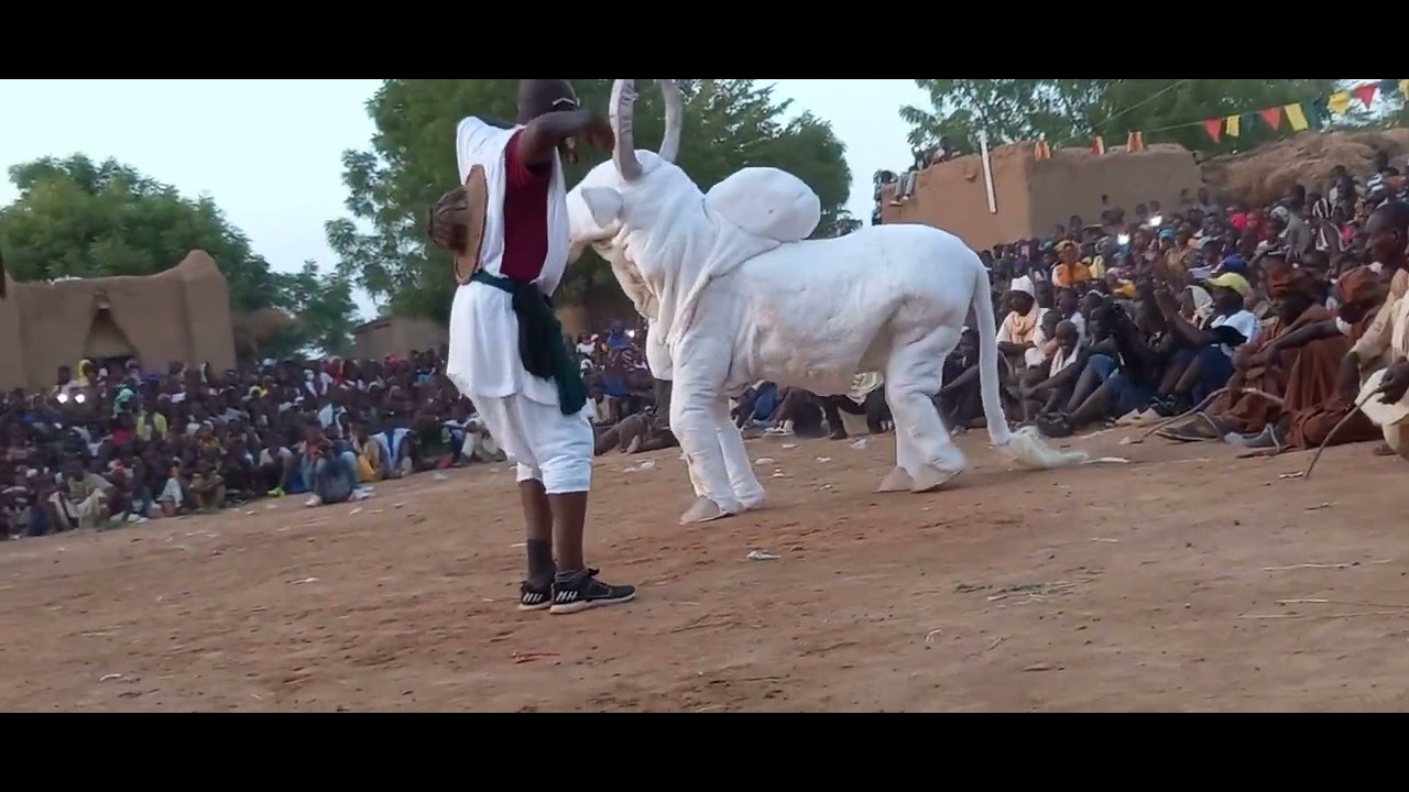 Festival traditionnel à Marakala titre le vache - YouTube