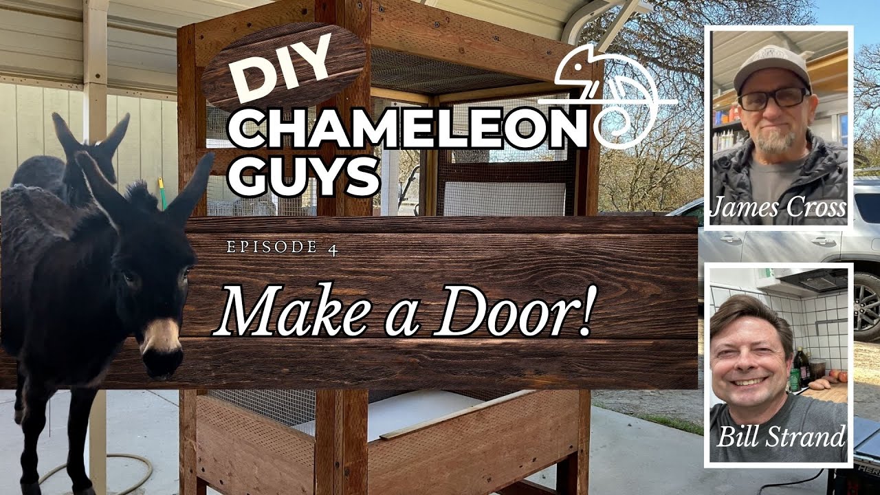 Make Chameleon Cage Doors! - YouTube