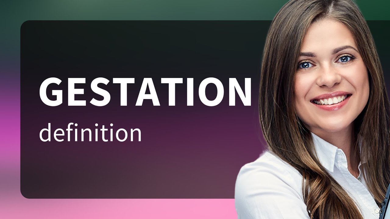 Gestation • what is GESTATION definition - YouTube