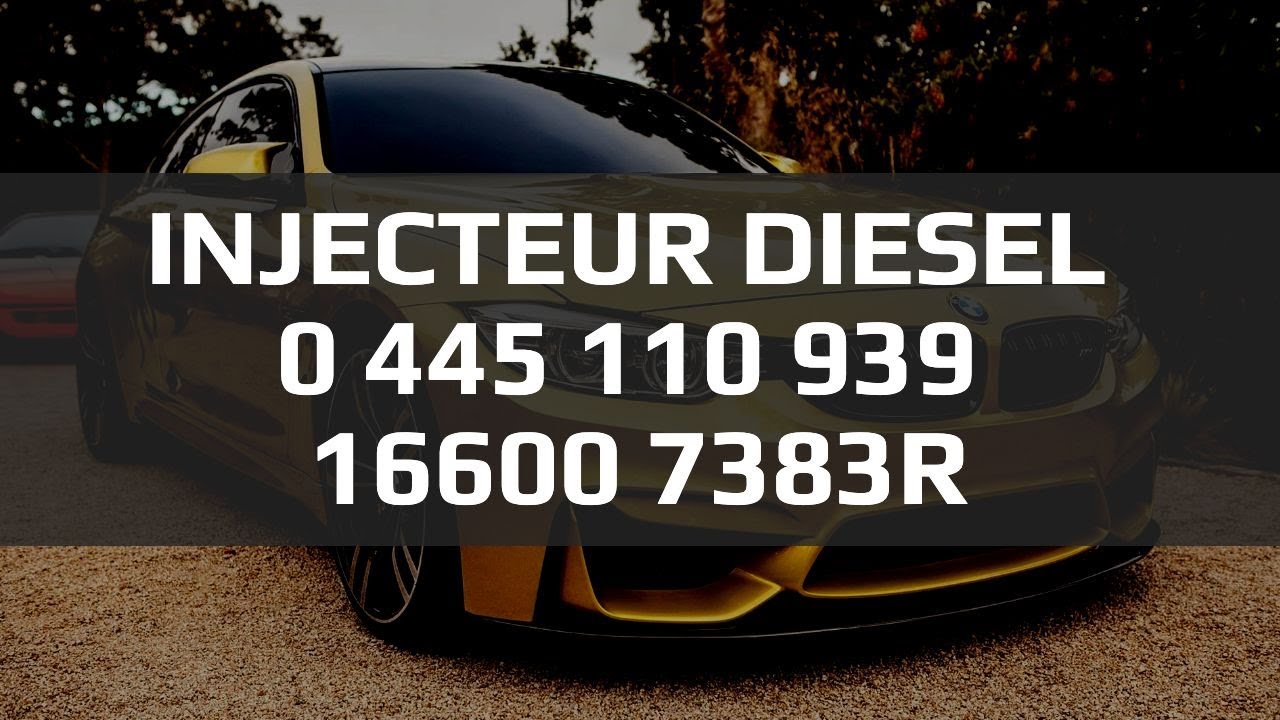 INJECTEUR BOSCH 0445110939 166007383R - YouTube