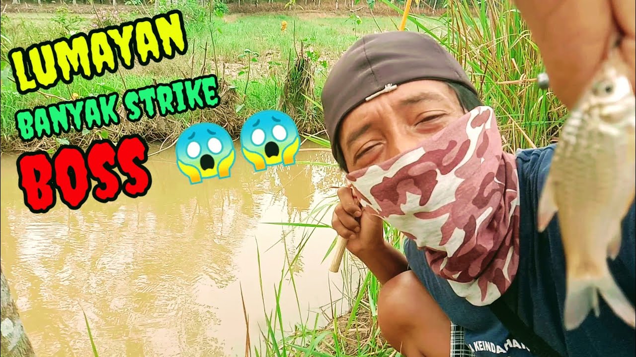 Pemancing Ini Terpesona - Mancing Wader Di sungai Kecil Full Senyum - YouTube