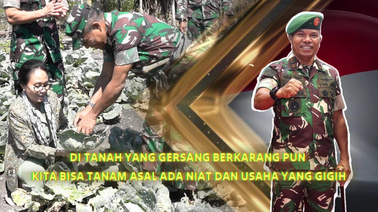 DANREM 161/WIRA SAKTI PANEN SAYURAN HASIL POMPA HIDRAM DI TTS - YouTube