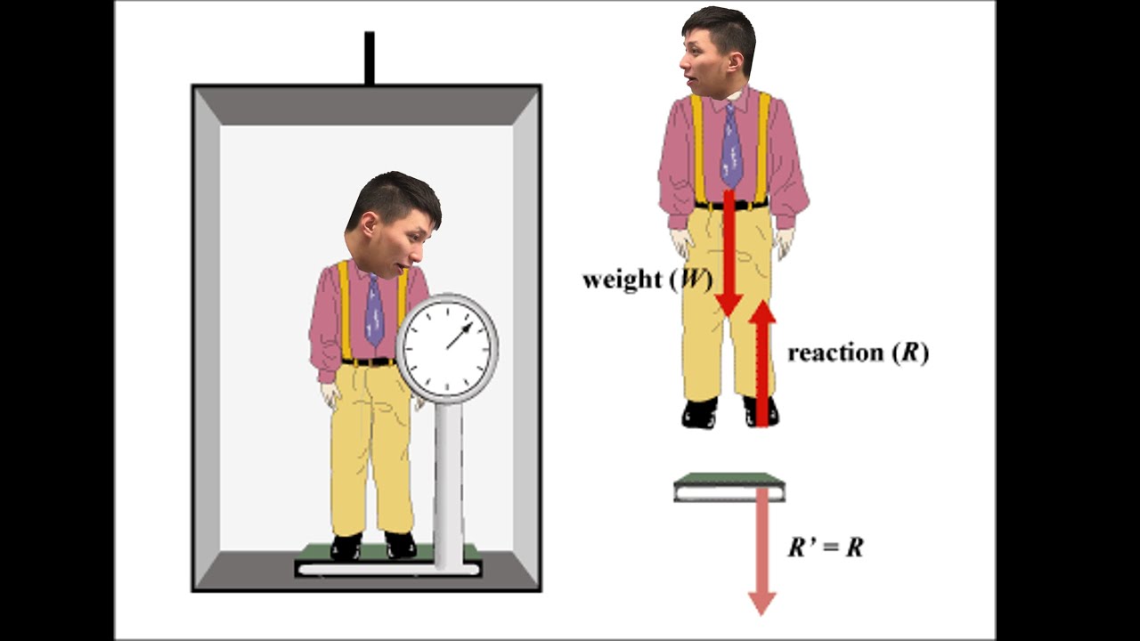 Elevator Problem Classic IB Physics A 2 Part 7 YouTube elevator-problem-classic-ib-physics-a-2-part-7-youtube