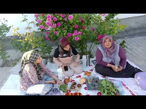 KIZLARIMLA GÜLLERİMİZİN ALTINDA PİKNİK YAPTİK🥰BAHCEMİZDE KAHVE İÇTİK DOLU DOLU BİR GÜNDEN BUYRUN😍🥰
